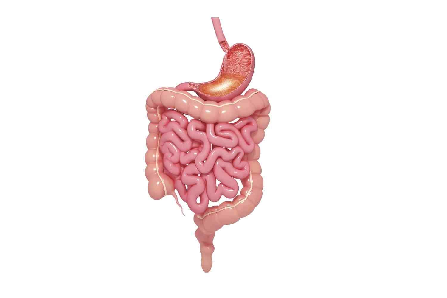 Colectomía total en ciudad Juárez - Agenda tu consulta hoy